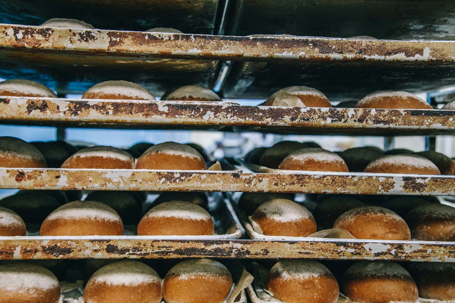 Photos - Boaggio's Bread